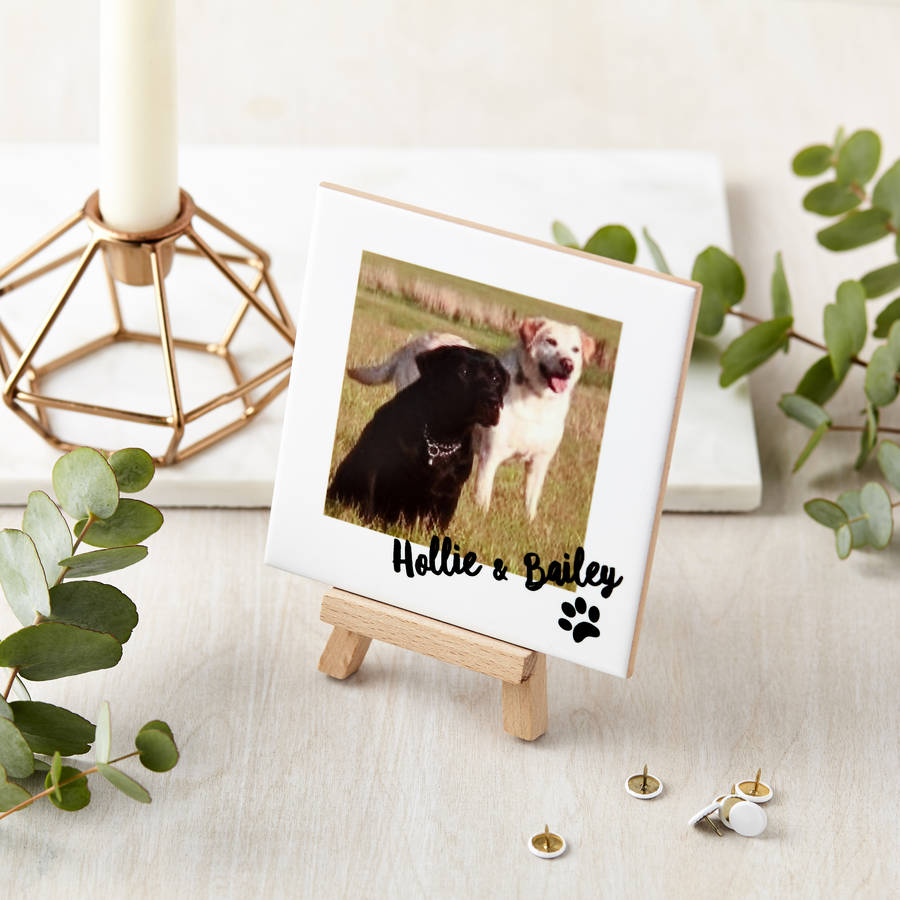 Personalised Ceramic Pet Photo and Mini Easel | Gifts for Pets | Treat ...
